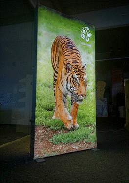 | Eclipse Print a. s.